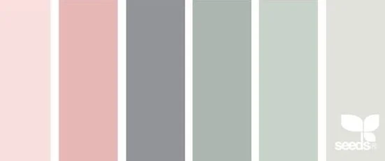 Color Scheming — Lancaster Flower Co.