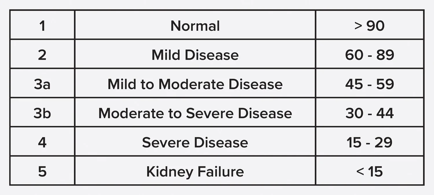 Chronic Kidney Disease Education — InterMed Consultants
