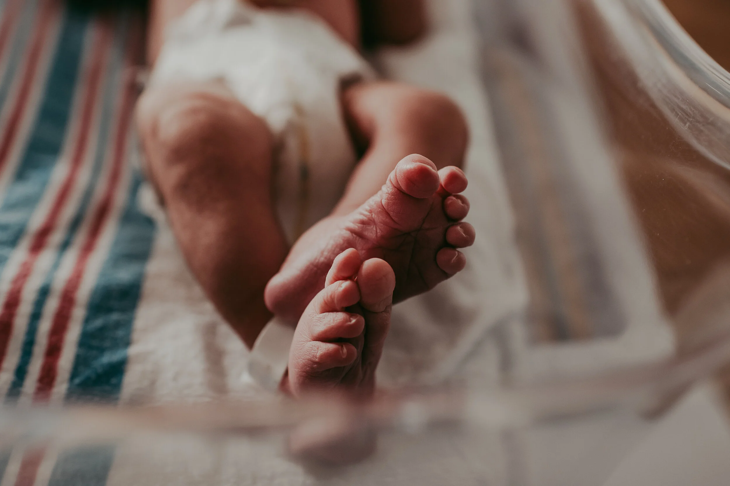 KELOWNA NEWBORN + FAMILY PHOTOGRAPHER — KELOWNA NEWBORN + FAMILY ...