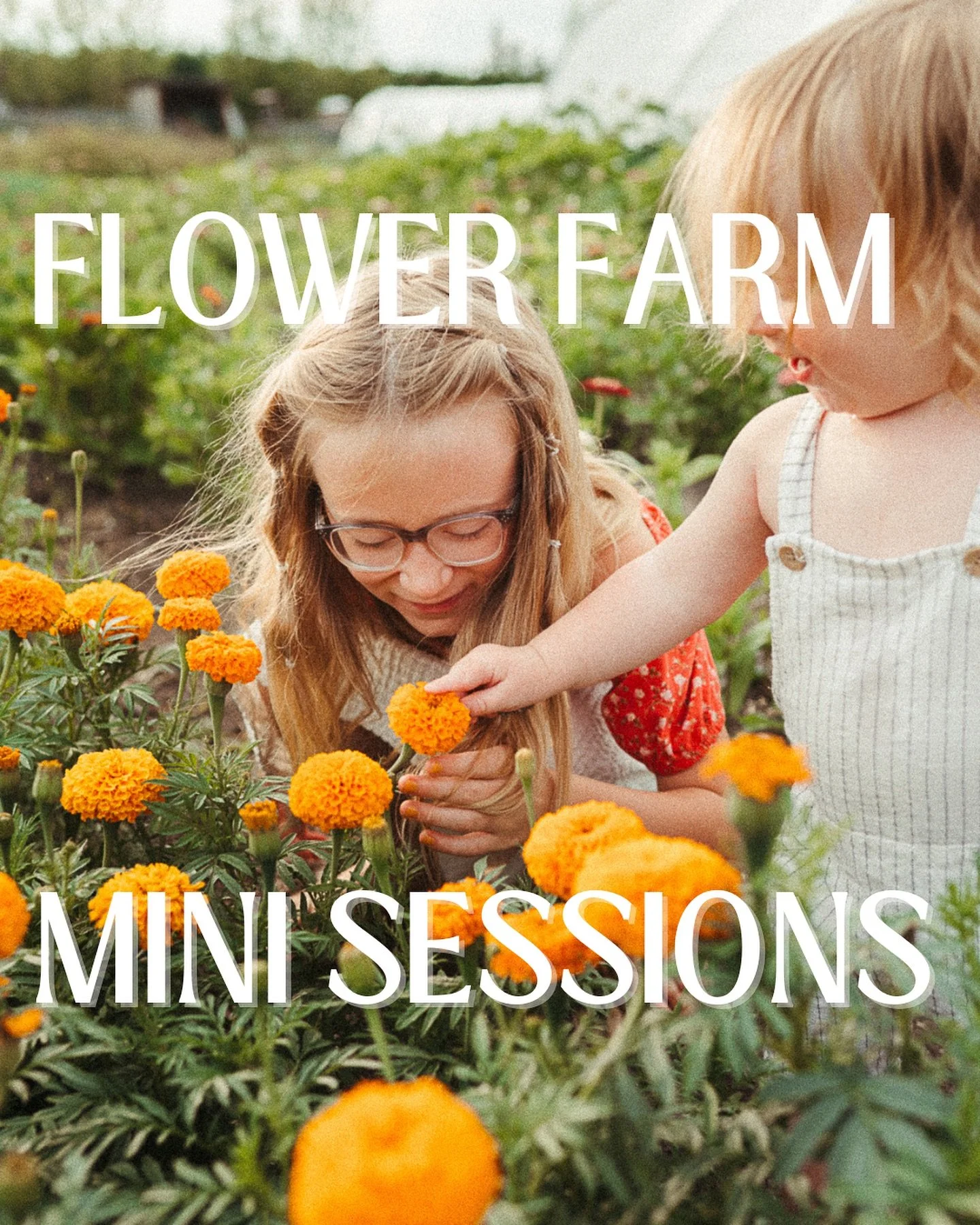 Tracy Dawn Photography