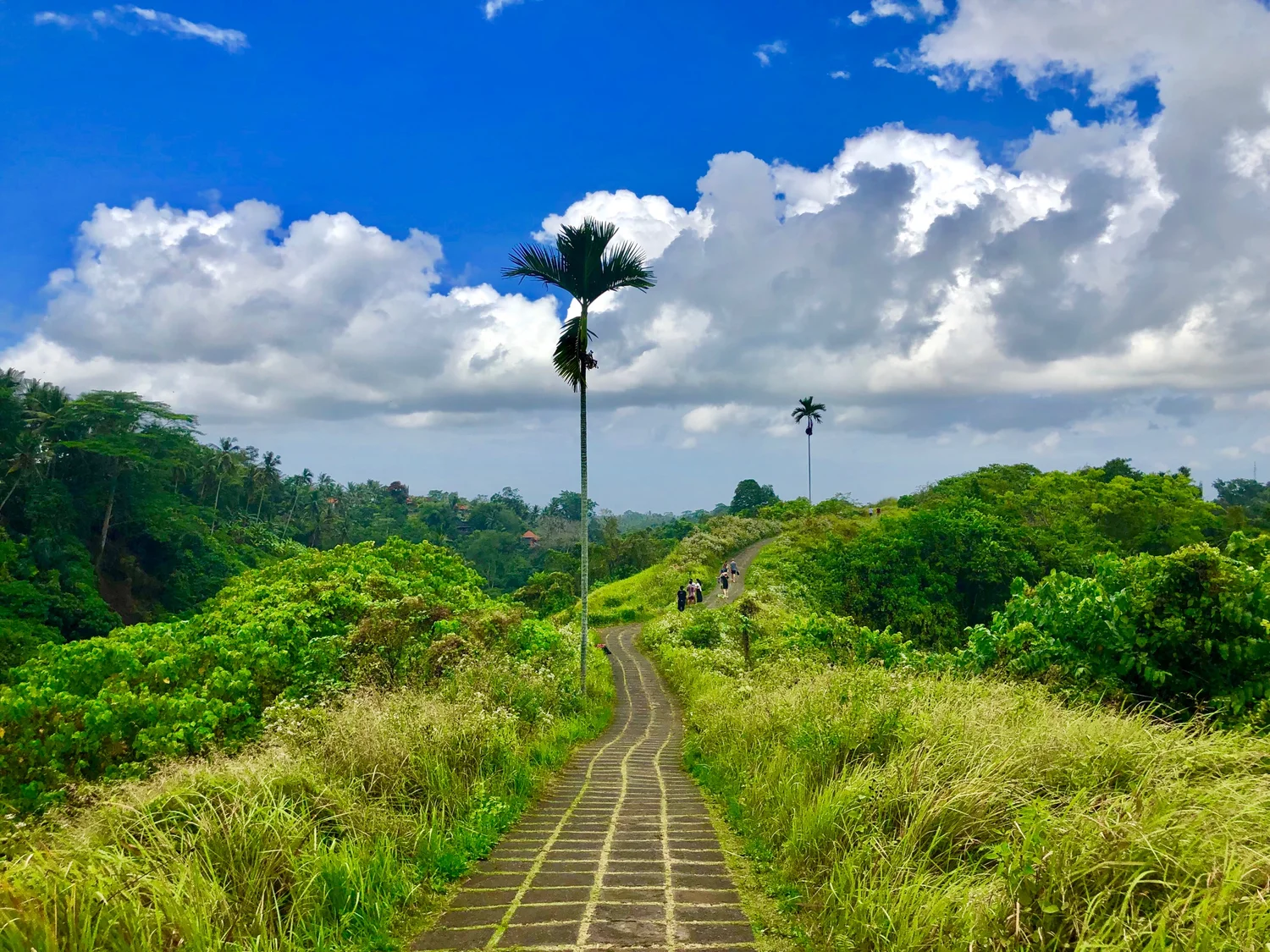 Best things to do around Ubud, Bali - Indonesia — Eat Wander Explore