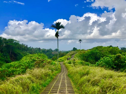 Best things to do around Ubud, Bali - Indonesia — Eat Wander Explore