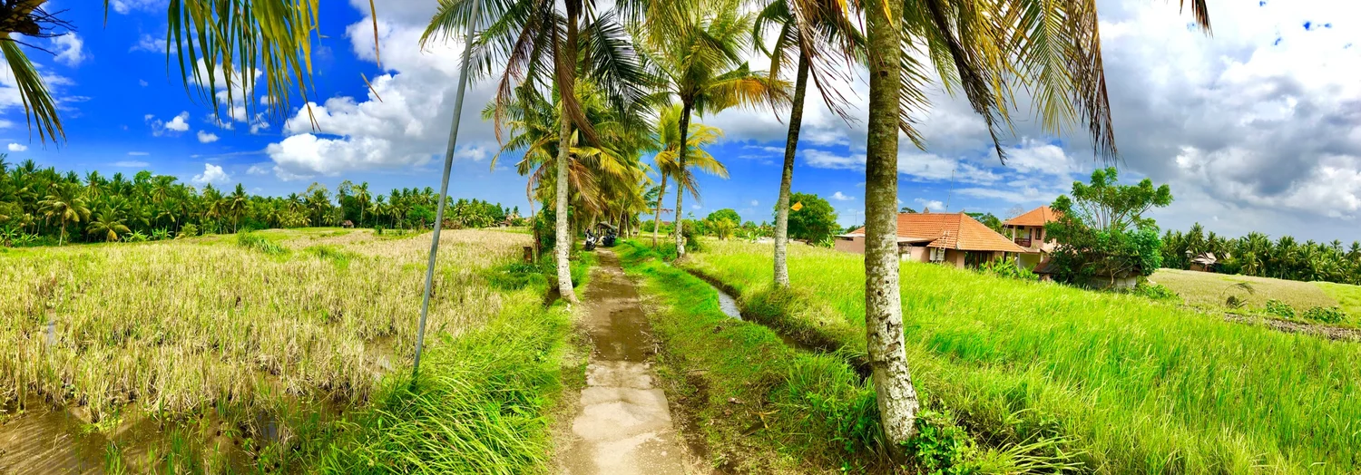 Best things to do around Ubud, Bali - Indonesia — Eat Wander Explore