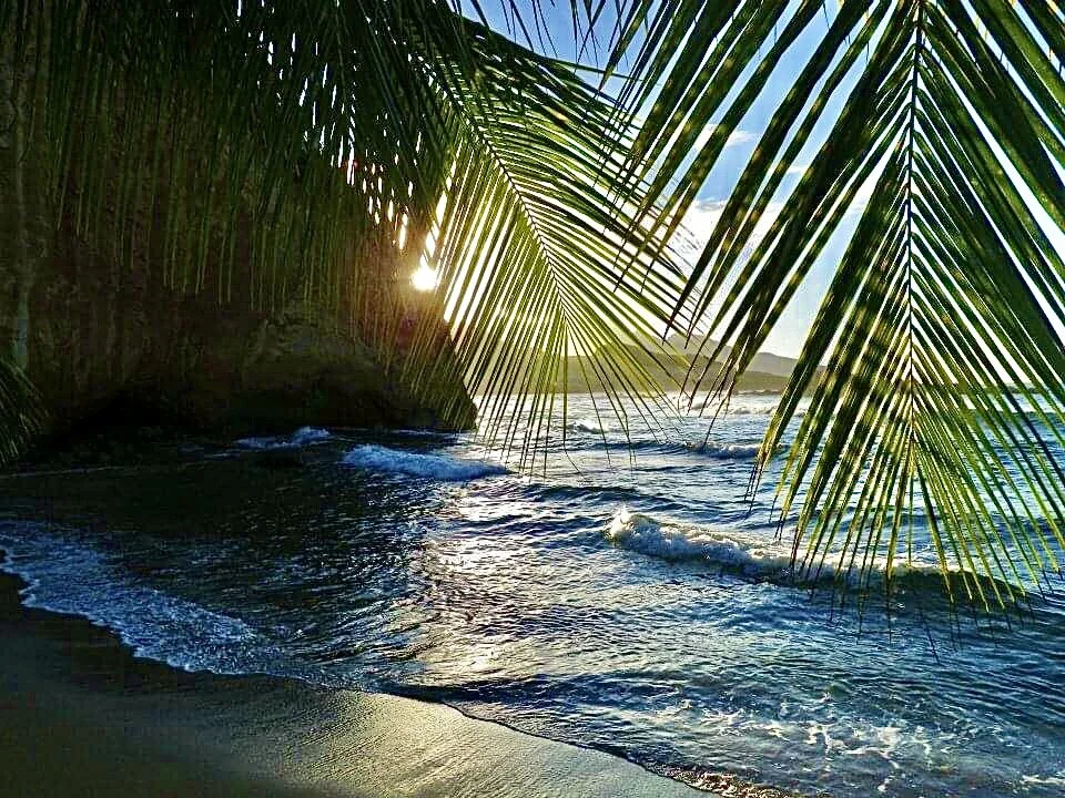 The Nature Island of Dominica - A Gem in the Caribbean — Eat Wander Explore