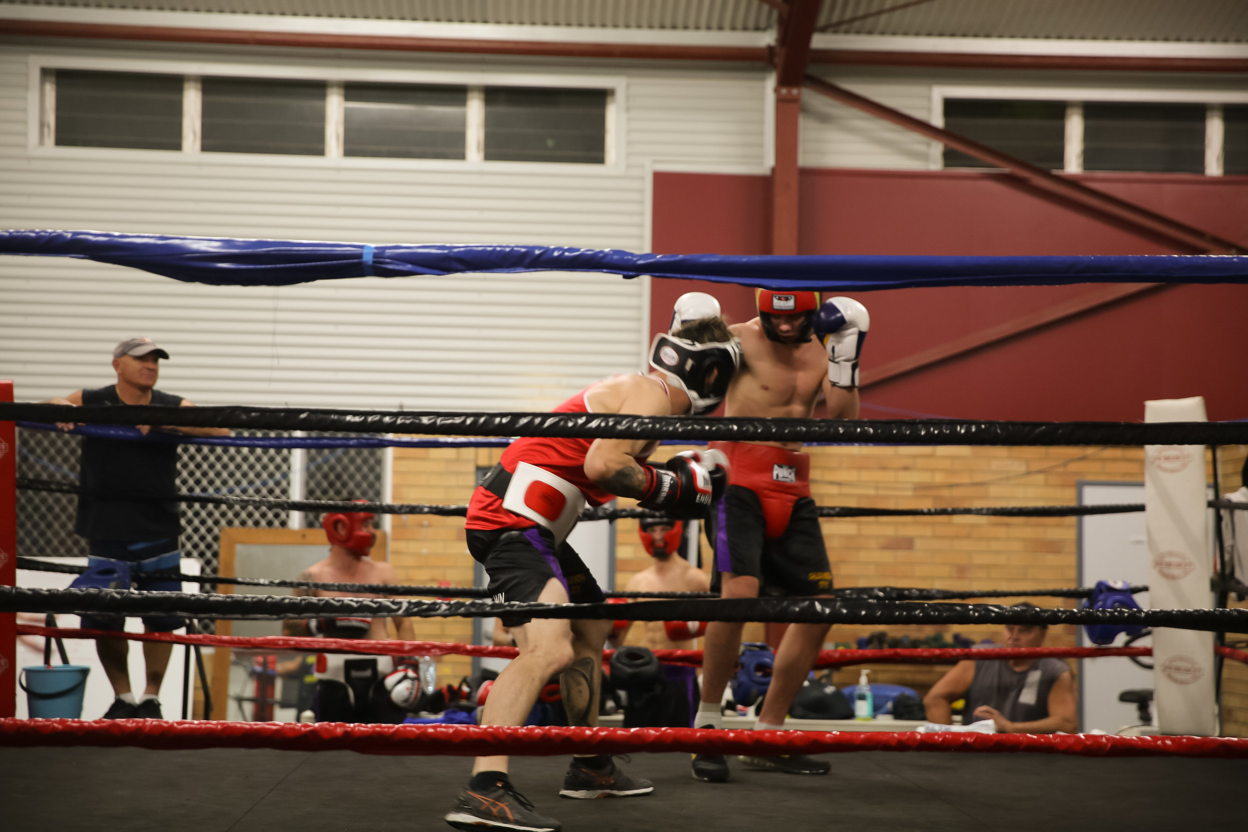 Gallery — Caloundra City Boxing