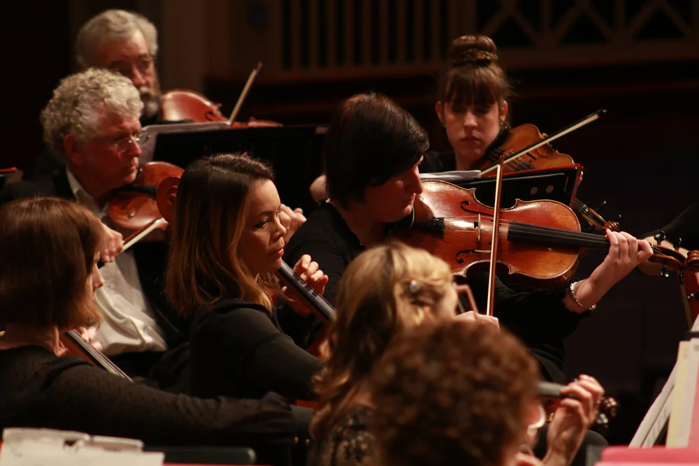 Brisbane Symphony Orchestra — Support the BSO