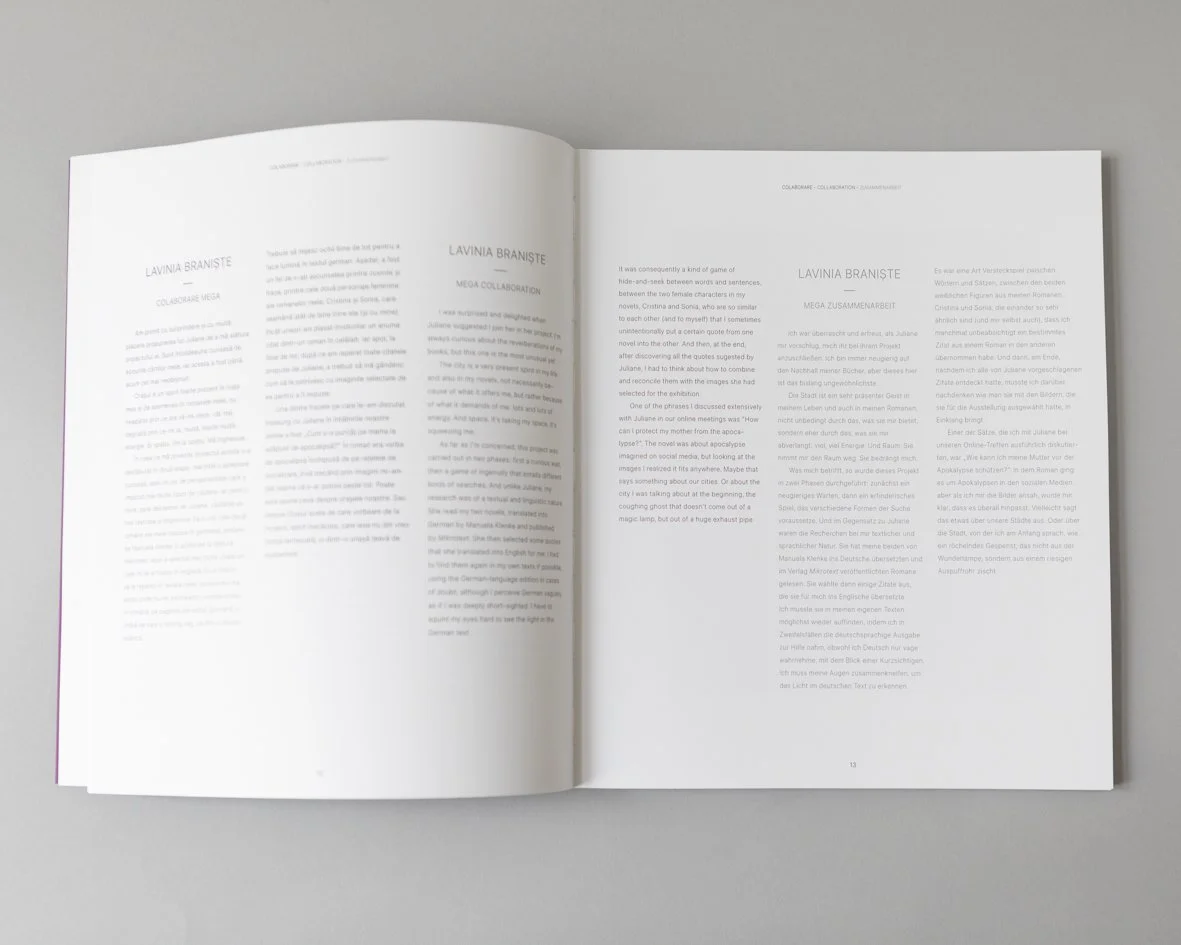 BOOK: MEGA IMAGES — JULIANE EIRICH