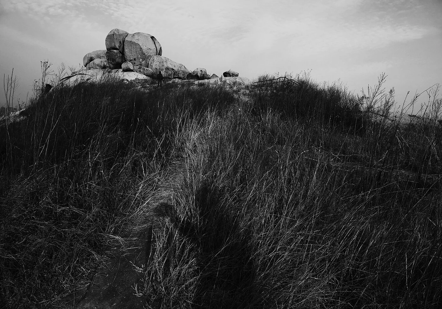 INTERVIEW | Beichen Zhang | Al-Tiba9 Contemporary Art