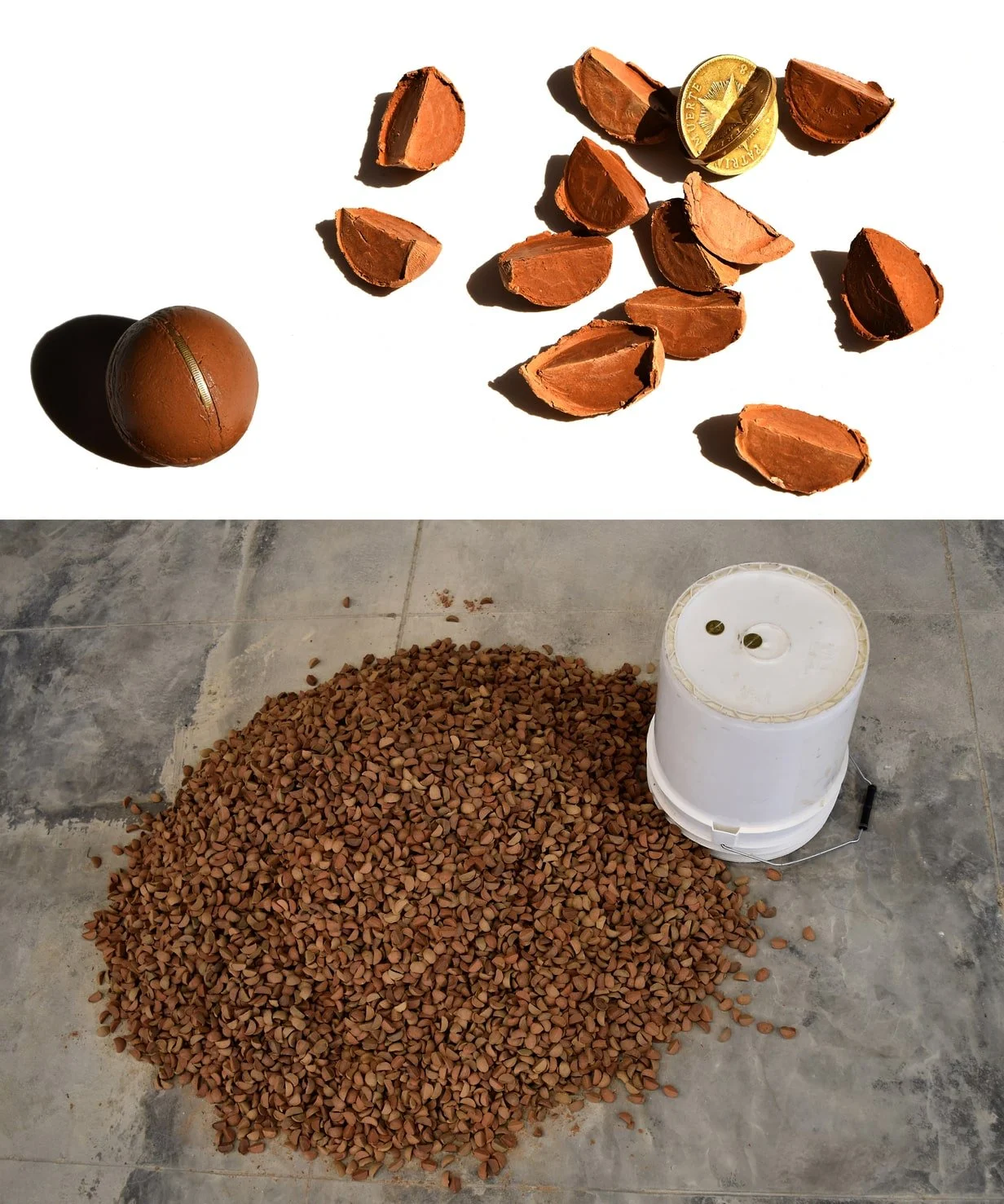 10 Questions with Leslie Garcia Blanco | Al-Tiba9 Contemporary Art