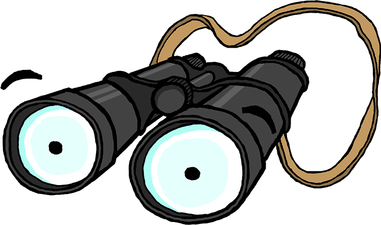 IRA Structure — Never Such Innocence