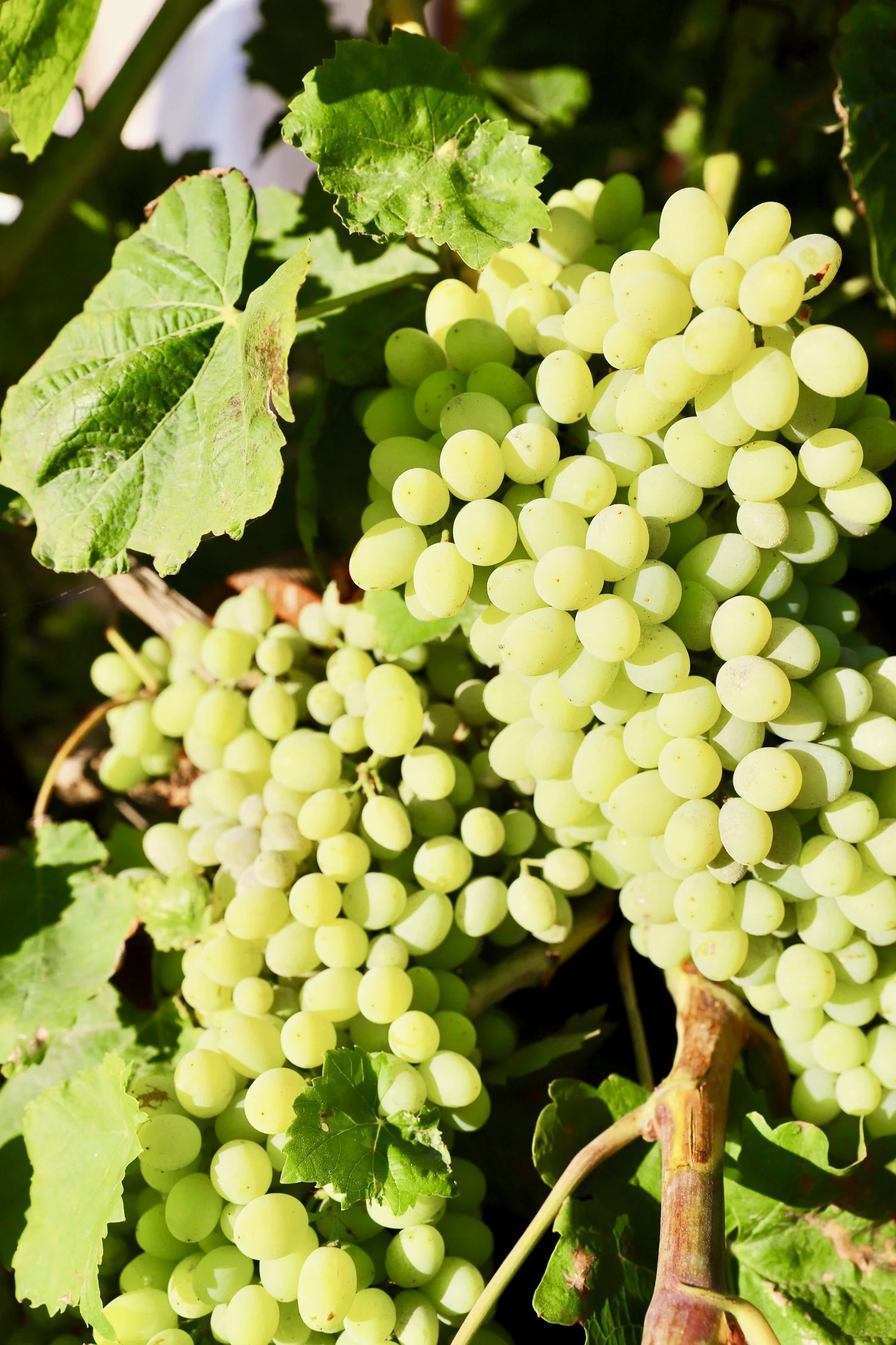 World with a Suitcase - norsk reiseblogg med reisetips