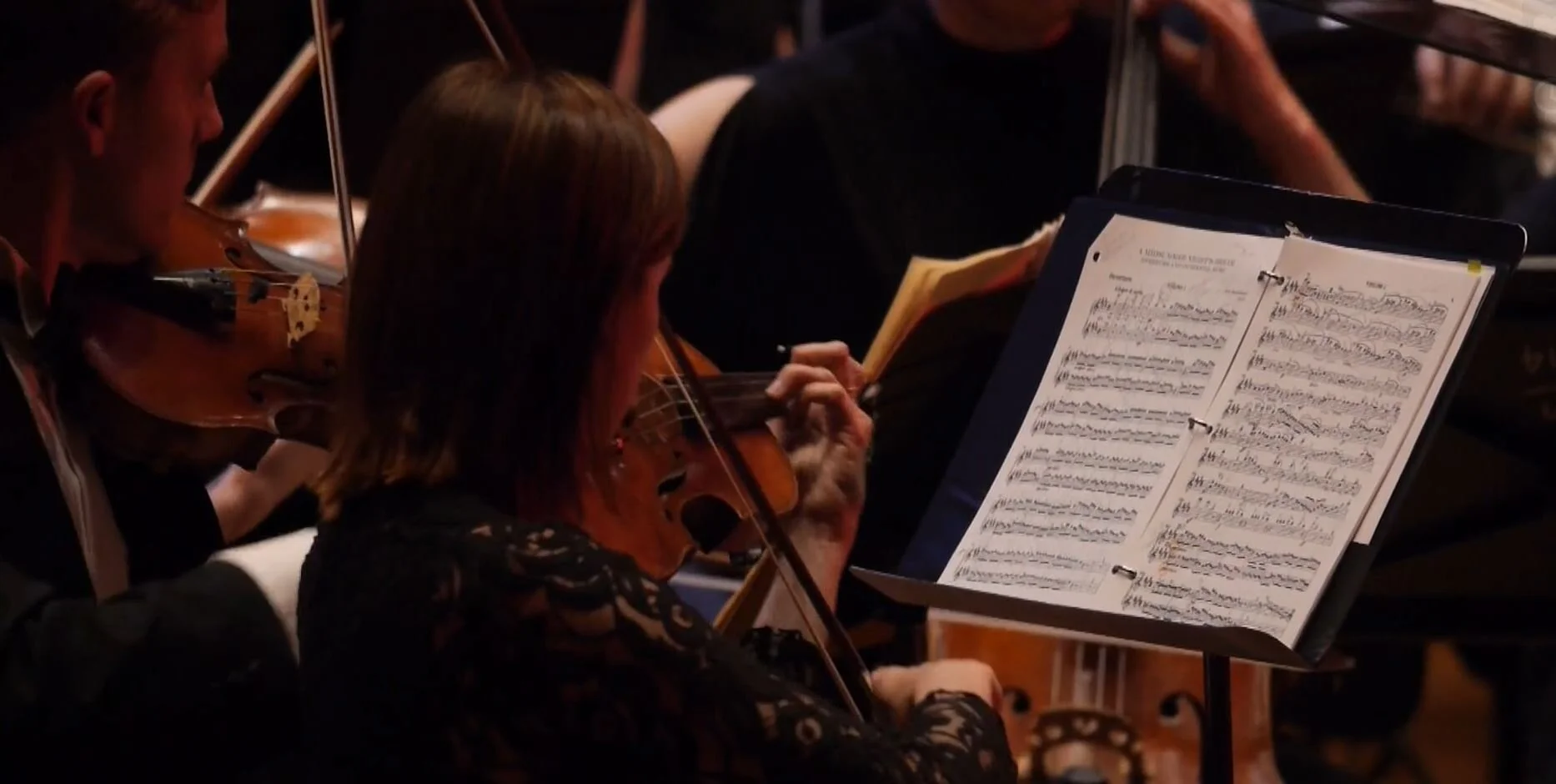 Meet our Musicians — Cambridge Symphony Orchestra
