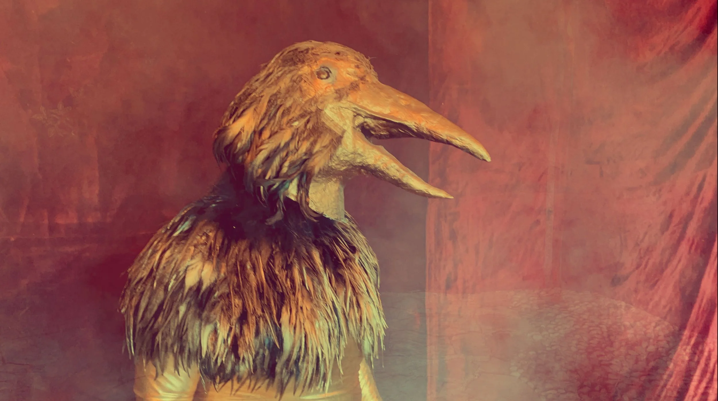 Illuminate Productions