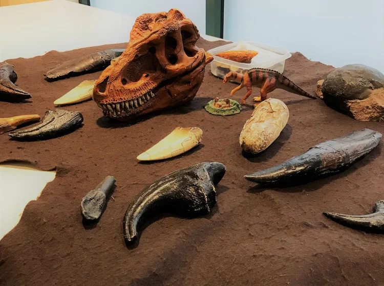 School Programs — Long Island Science Center