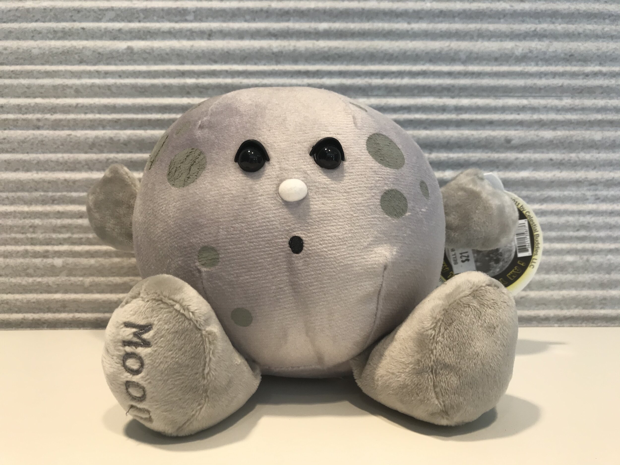 Shop — Long Island Science Center