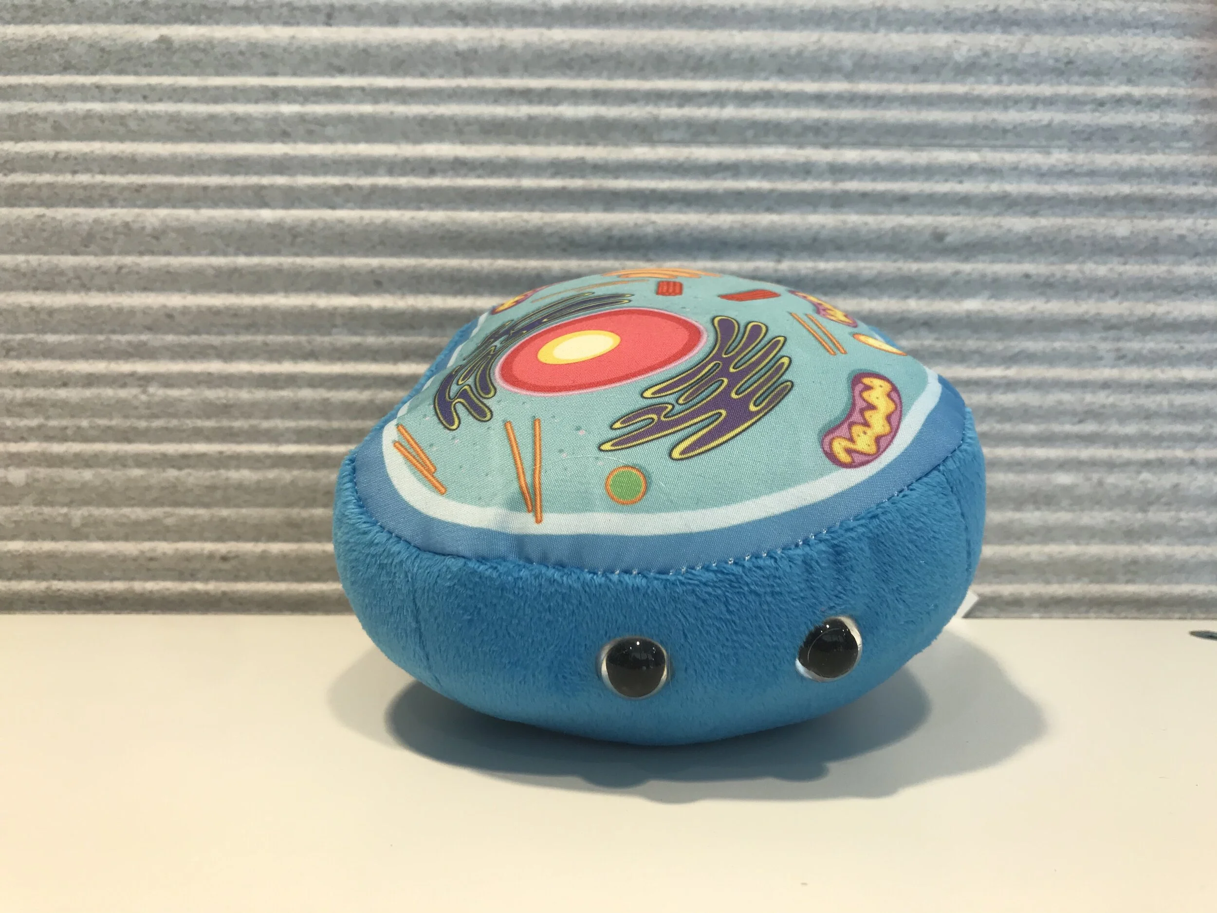 Shop — Long Island Science Center