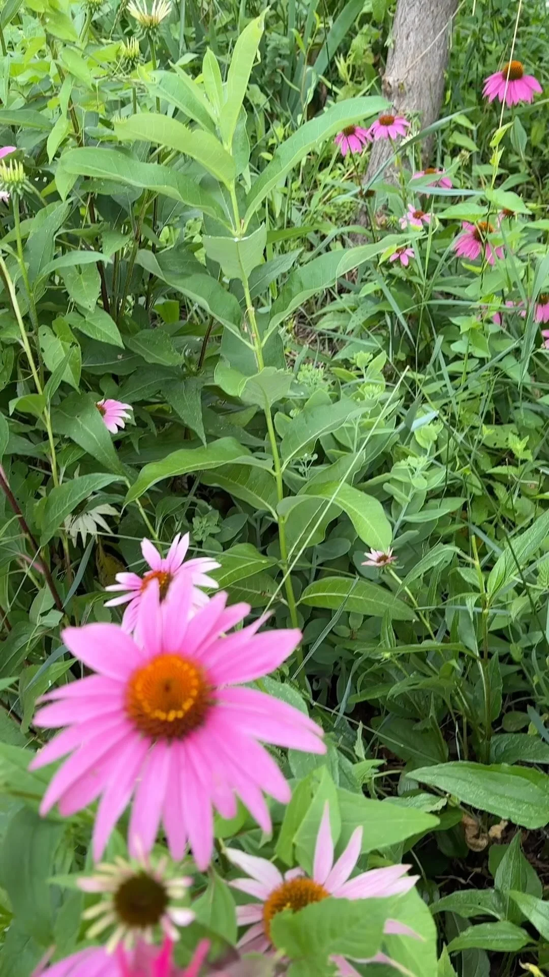 Sustainable Textile Design