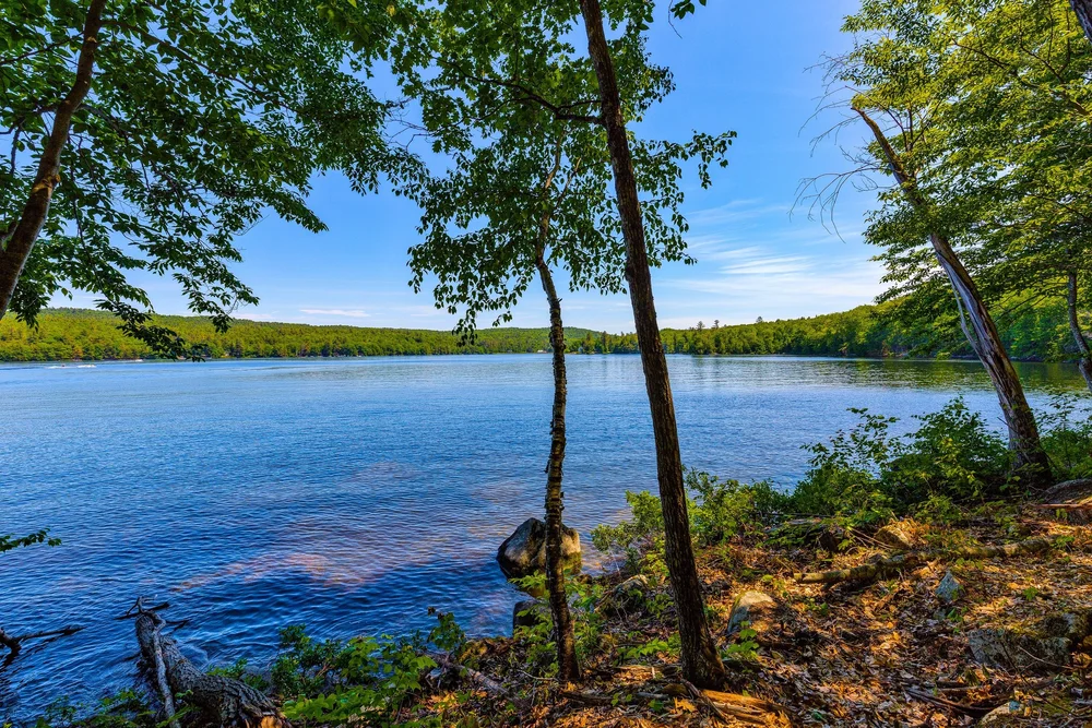 Goose Pond Forest Waterfront, Canaan, NH — Pierce McLaughry Group
