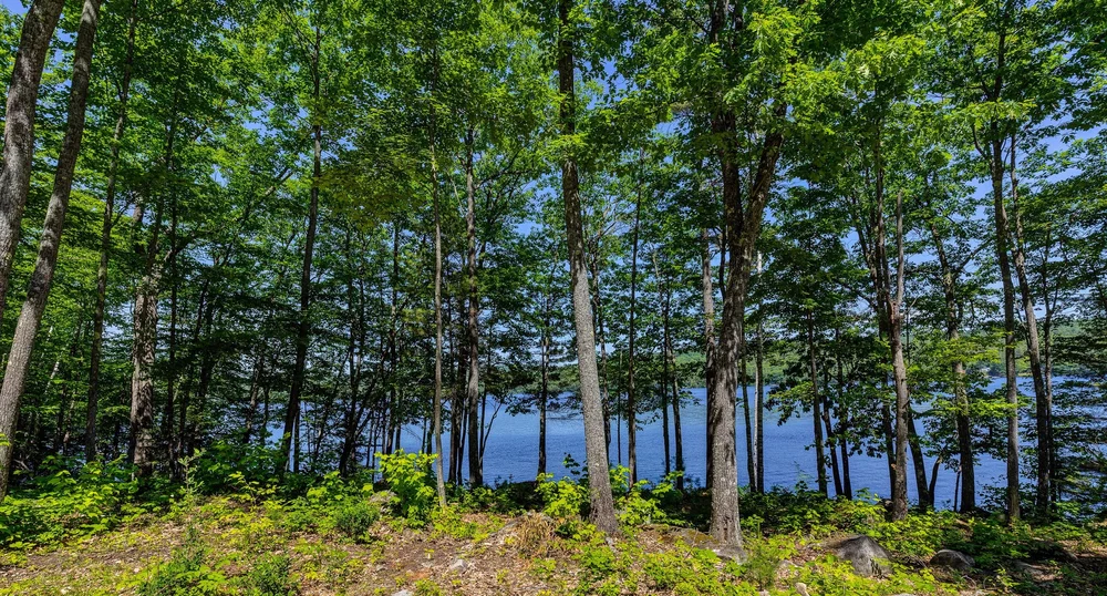 Goose Pond Forest Waterfront, Canaan, NH — Pierce McLaughry Group