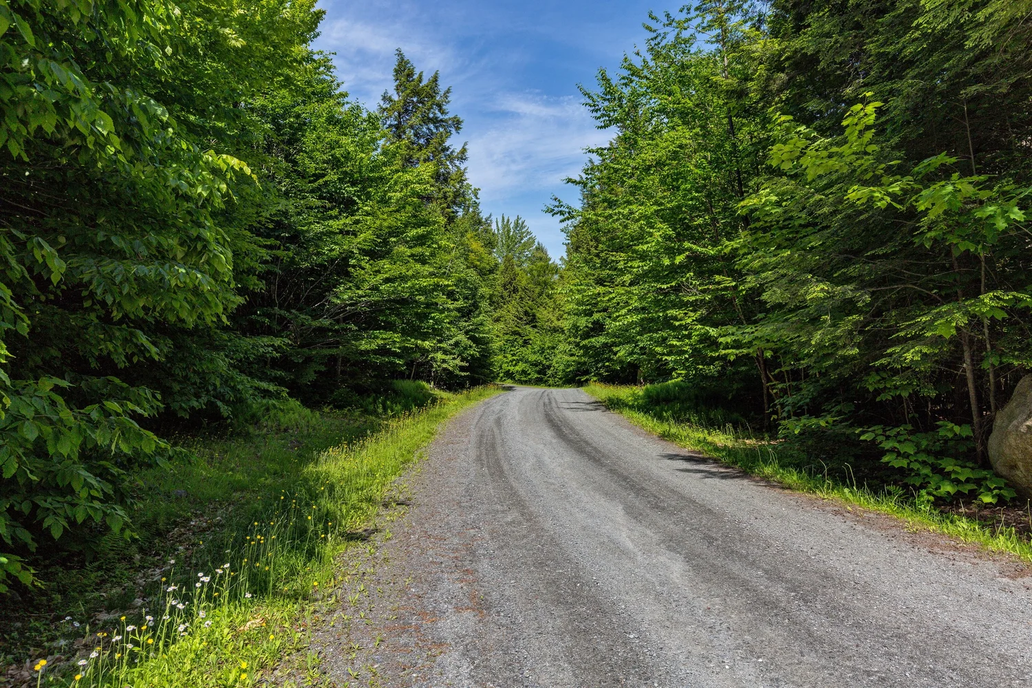 Goose Pond Forest Waterfront, Canaan, NH — Pierce McLaughry Group