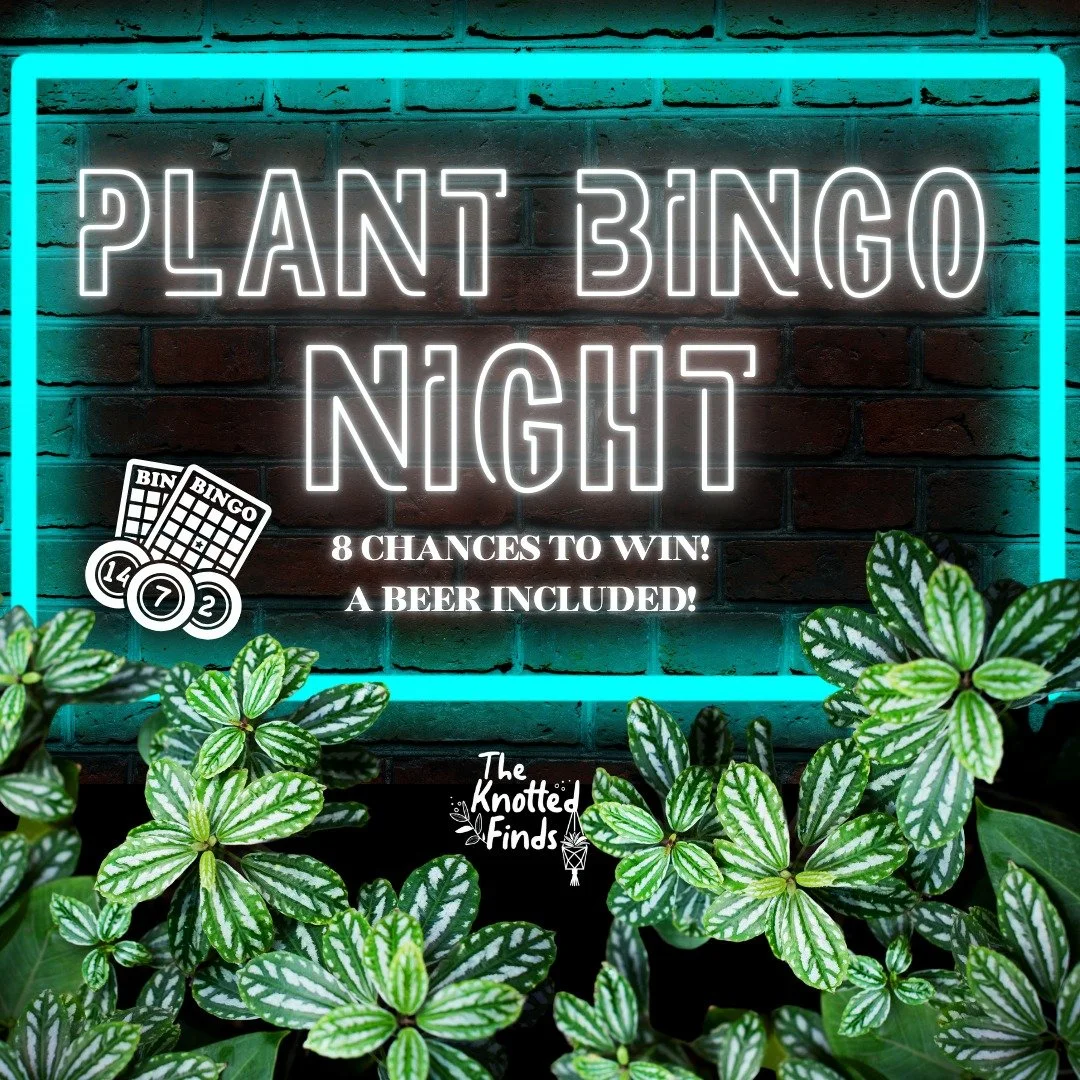 Events — Spyglass Brewing Company