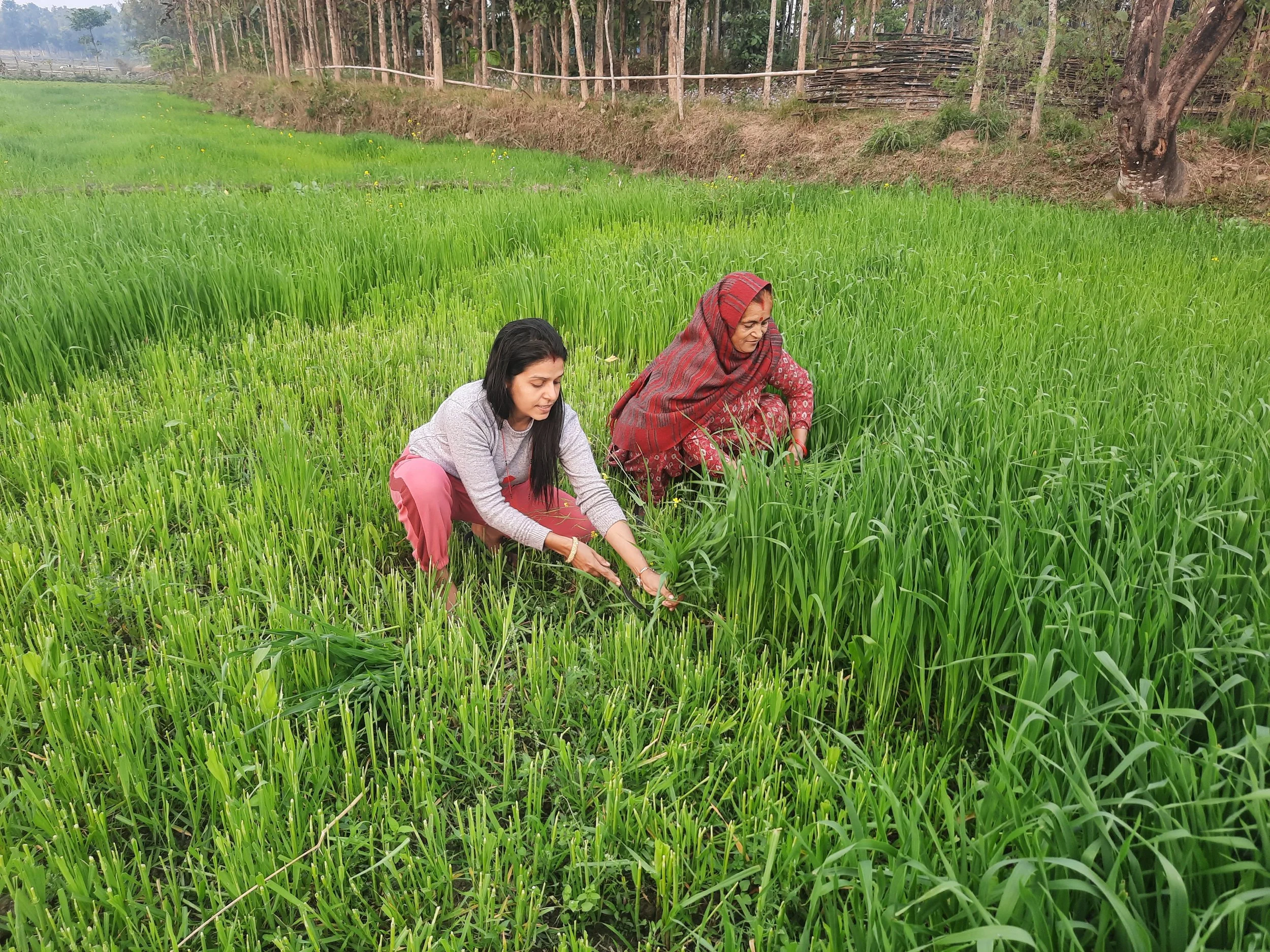Nepal Daily Life Part 2 — First Steps Himalaya