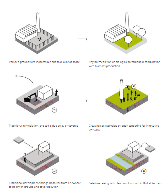 PARK DE CEUVEL_NL — POWER PLANTS PHYTOREMEDIATION