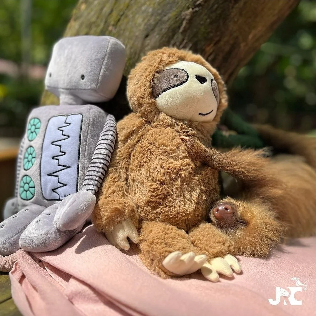 Robot vs Sloth
