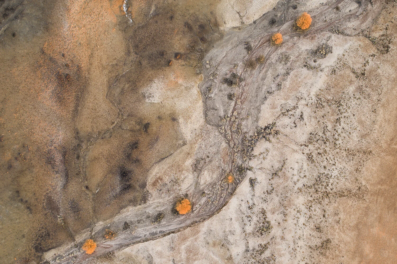 Kim Storey Photographer