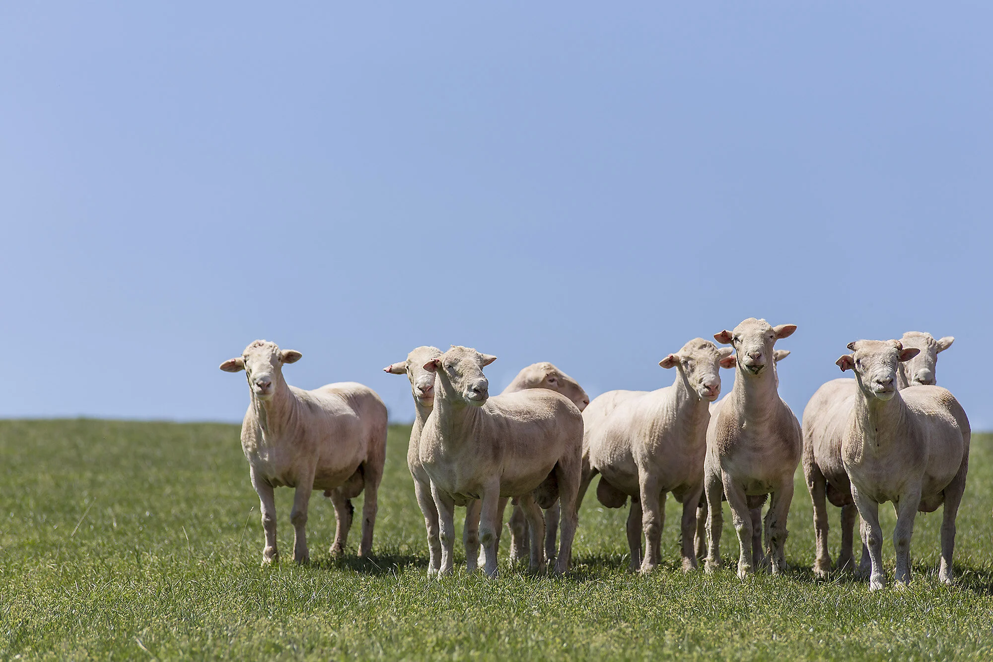 Kim Storey Photographer