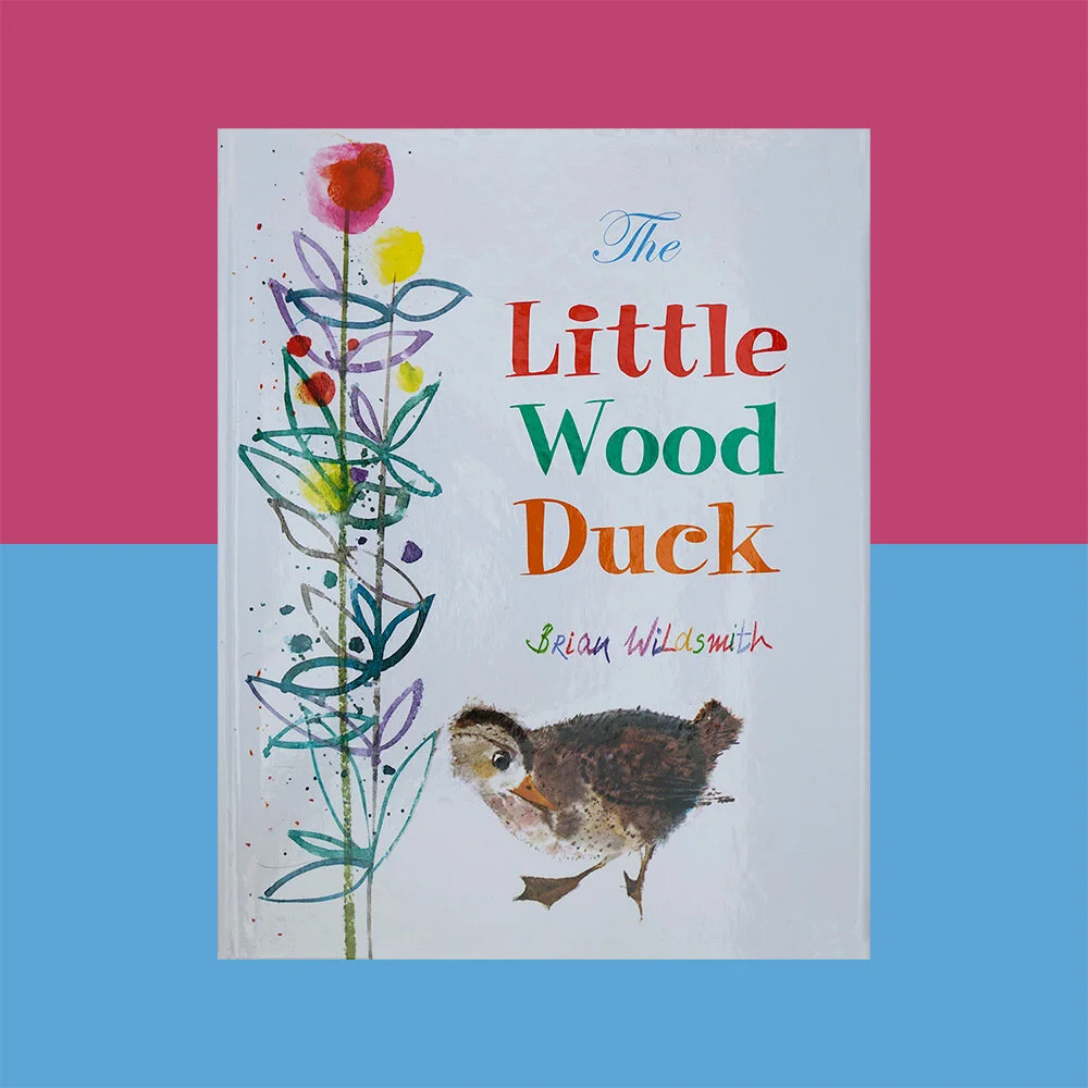 The Little Wood Duck — BRIAN WILDSMITH
