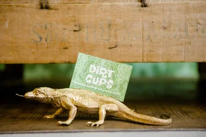 DIY Lizard Food Labels — Little Miss Party