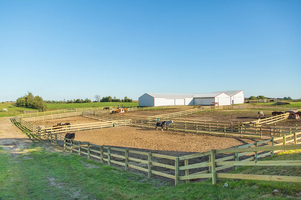 True North Ranch | Horse Stable Hastings | Stall Board