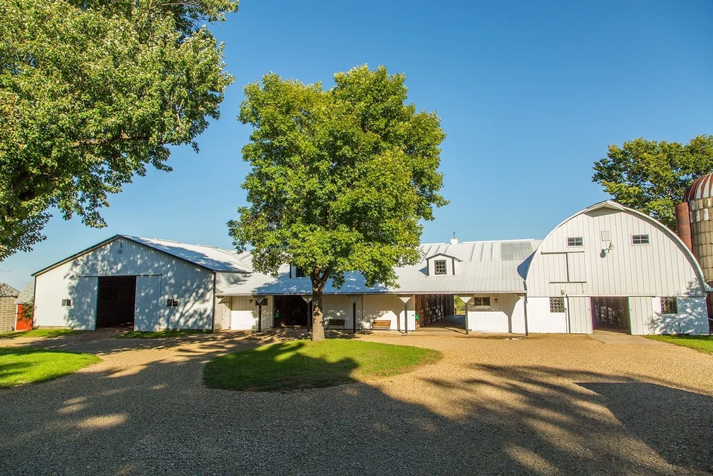 True North Ranch | Horse Stable Hastings | Stall Board