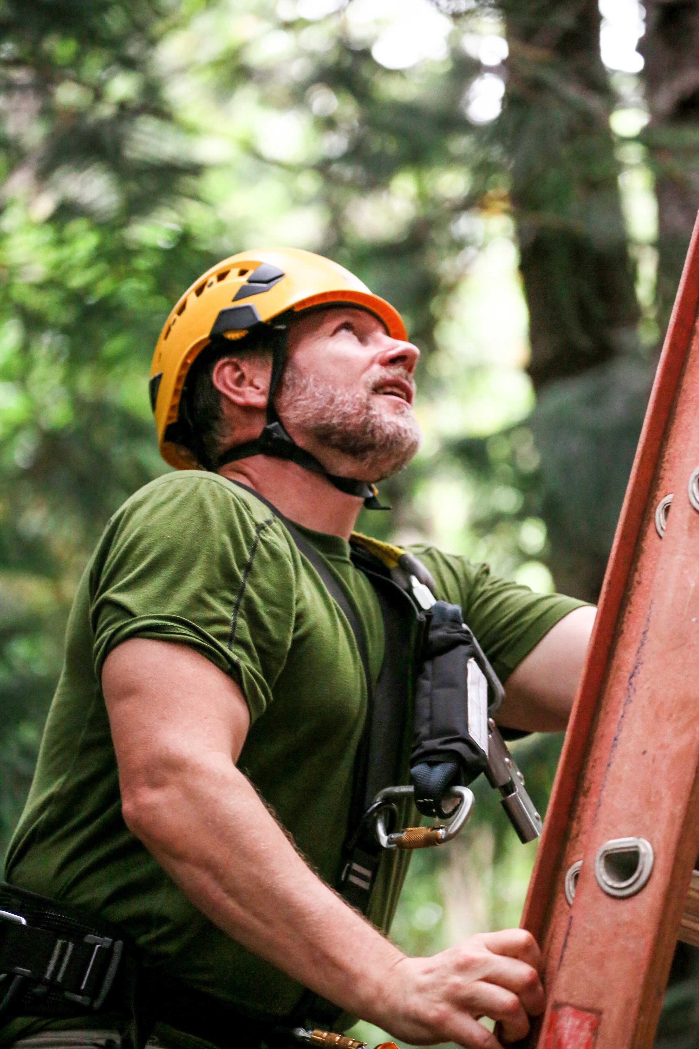 About Us — Synergo