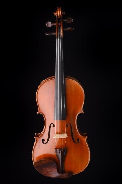 Violins For Sale - A Broad Range Available for Advanced Players to ...