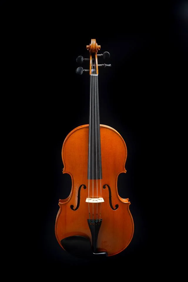 Violas for Sale | Premium Violas | Affordable Violas | Discover Best ...