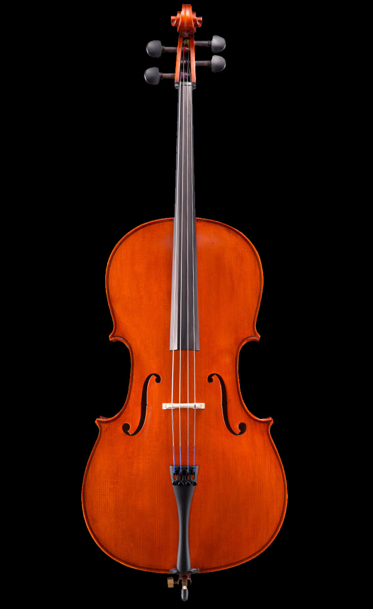 Cello For Sale & Rental - Elevate Your Musical Experience with ...