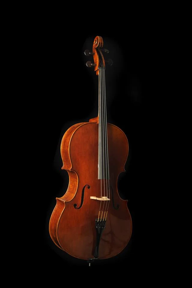 Expensive & Premium Cellos Sale — Vermont Violins