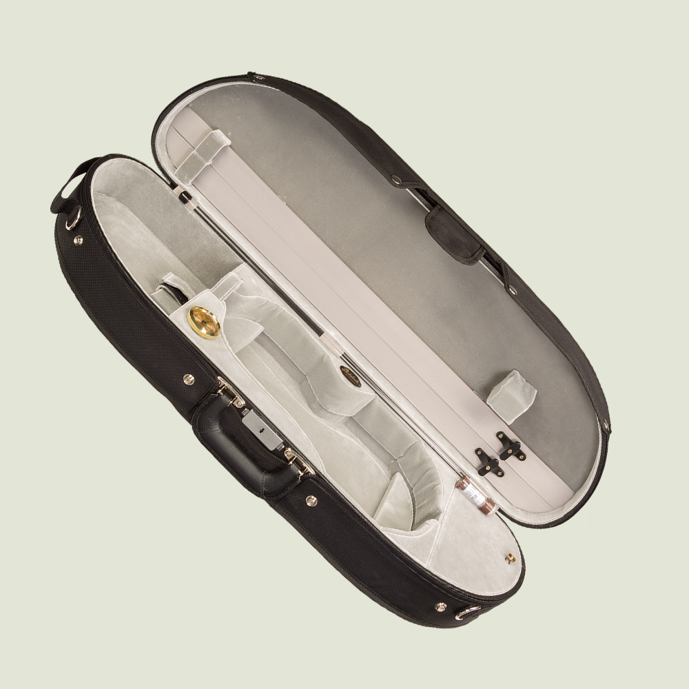 Protect Your Violin With A Case — Vermont Violins