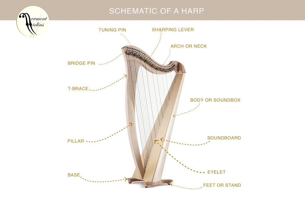 Harp Guide For Beginners — Vermont Violins