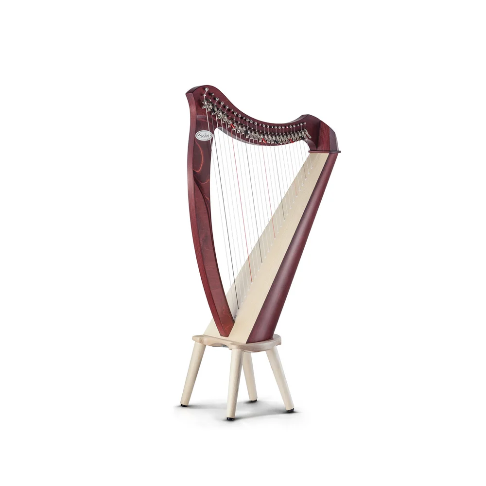 Lever Harps for Sale & Rental: Your Ultimate Harp Buying Option in the ...