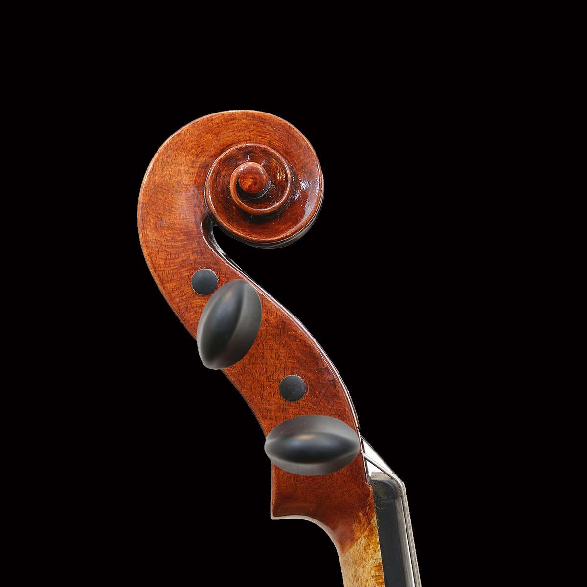 Black Violin Scroll