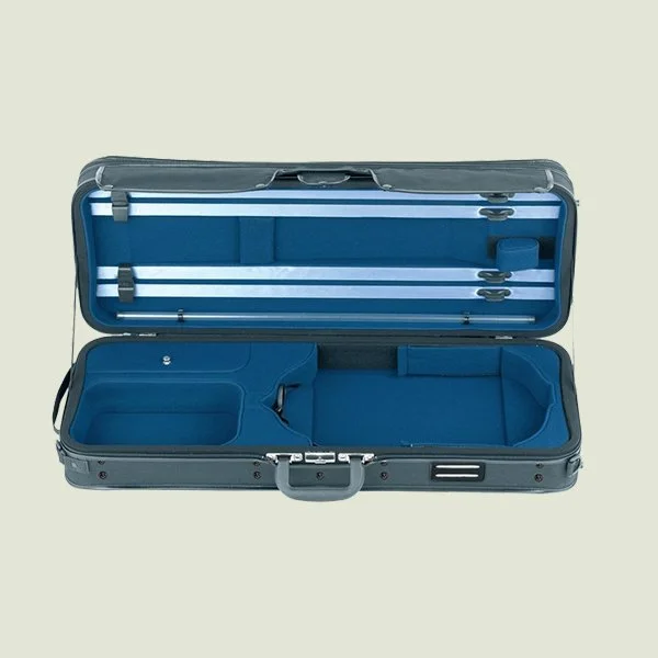 Protect Your Viola With A Case — Vermont Violins