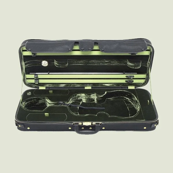 Protect Your Viola With A Case — Vermont Violins