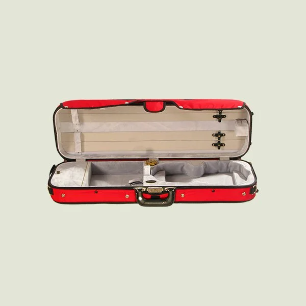 Protect Your Violin With A Case — Vermont Violins