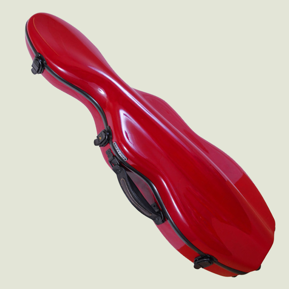 Pedi Oblong Violin Case — Vermont Violins