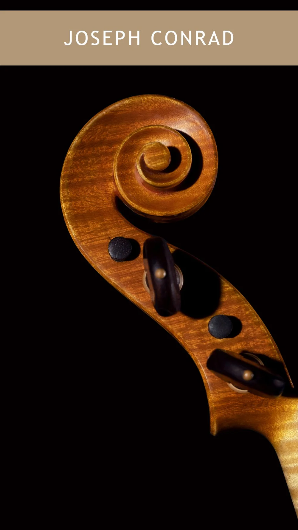 Violin Scroll Design