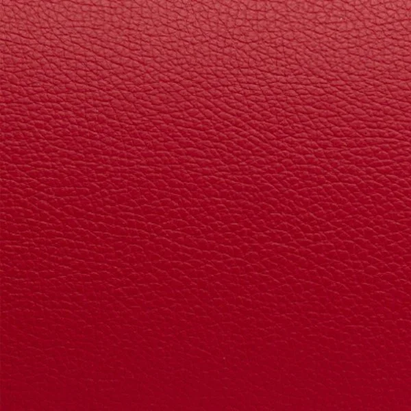 Sale Viola Cases - FREE SHIPPING — Vermont Violins