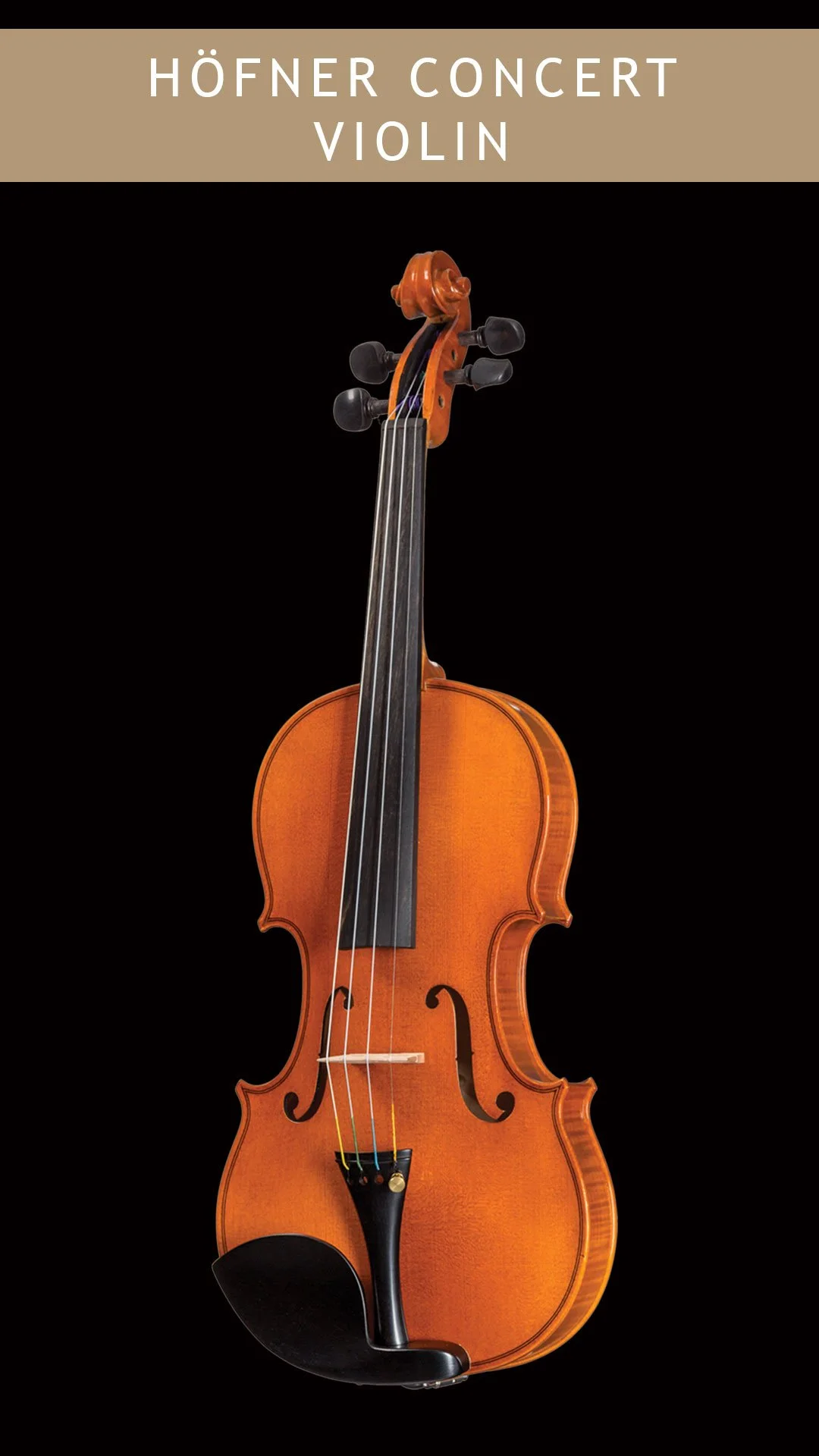 Hofner Guarneri Violin — Vermont Violins